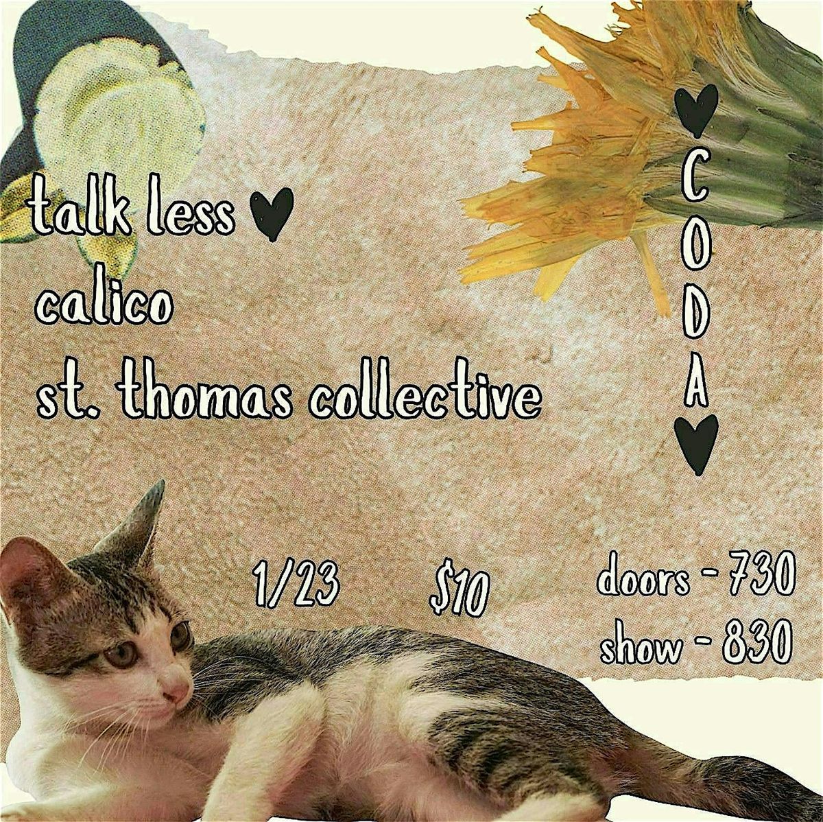 Talk Less | Calico | St. Thomas Collective at CODA, CODA, Cleveland, 23 ...