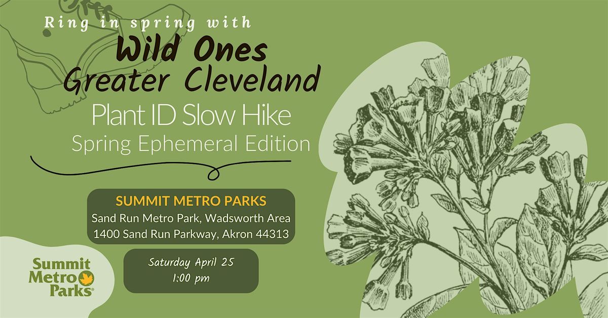 Plant ID Slow Hike: Spring Ephemeral Edition with Summit County ...