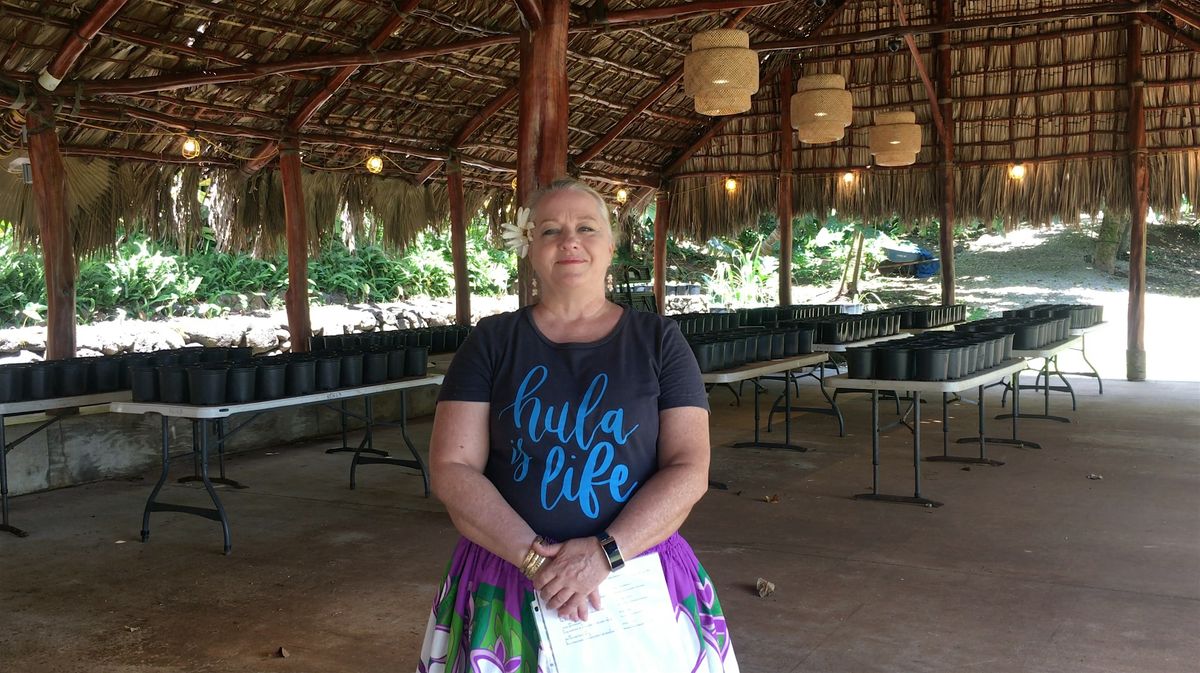 (In-Person at KOKA Kalihi) Simple Hula "Ke Aloha", Keiki O Ka ‘ Āina ...