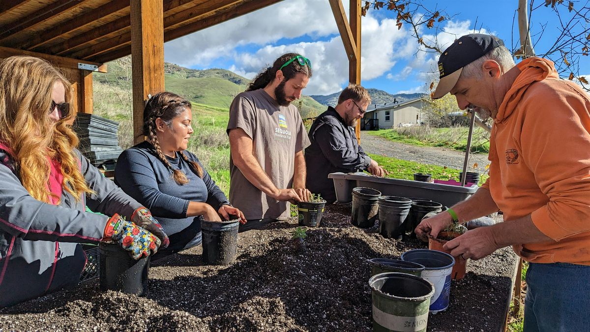 Nursery Volunteer Day, Dry Creek Preserve - Sequoia Riverlands Trust ...