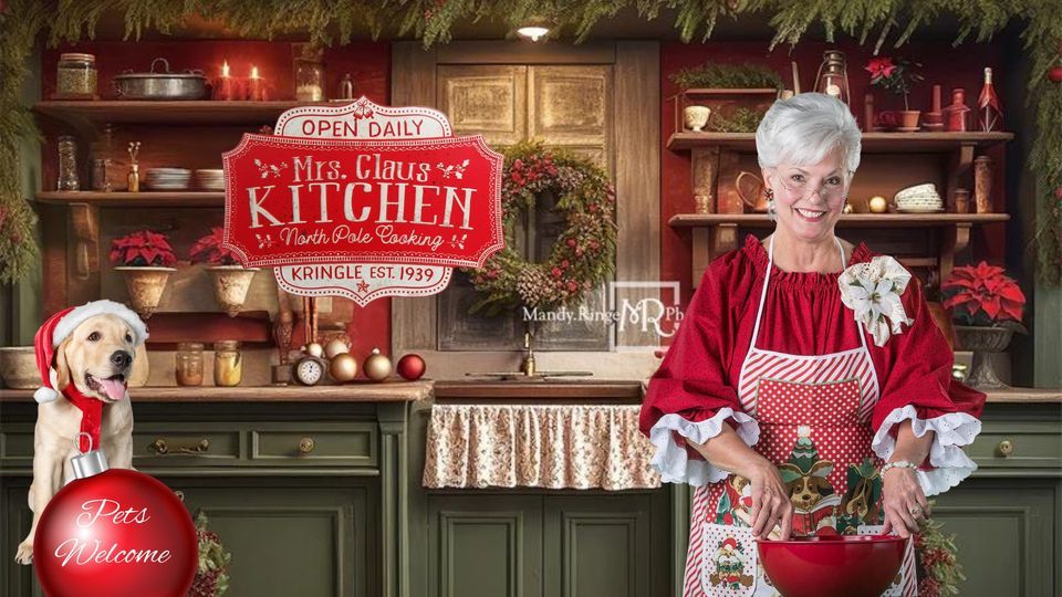 Christmas Photos in Mrs Clauss Kitchen, 10d Bradford Close, Kotara NSW ...
