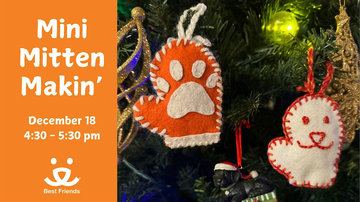 Mini Mitten Makin with Best Friends & Yarn Alchemy, Best Friends Pet ...
