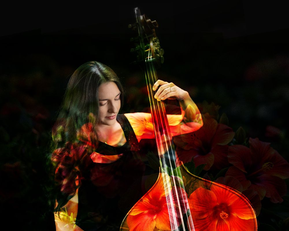 South Florida Symphony Orchestra - Rimsky - Korsakovs at Tennessee Williams Theatre, Tennessee ...