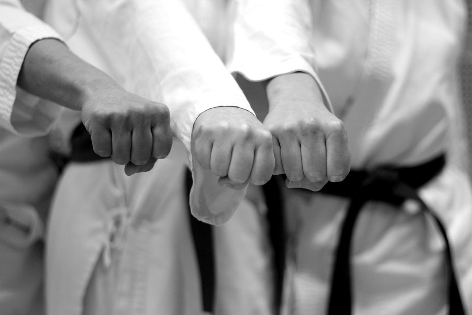 Advanced Belt Training Day, WOLF Martial Arts, Lenexa, 23 March 2024 ...