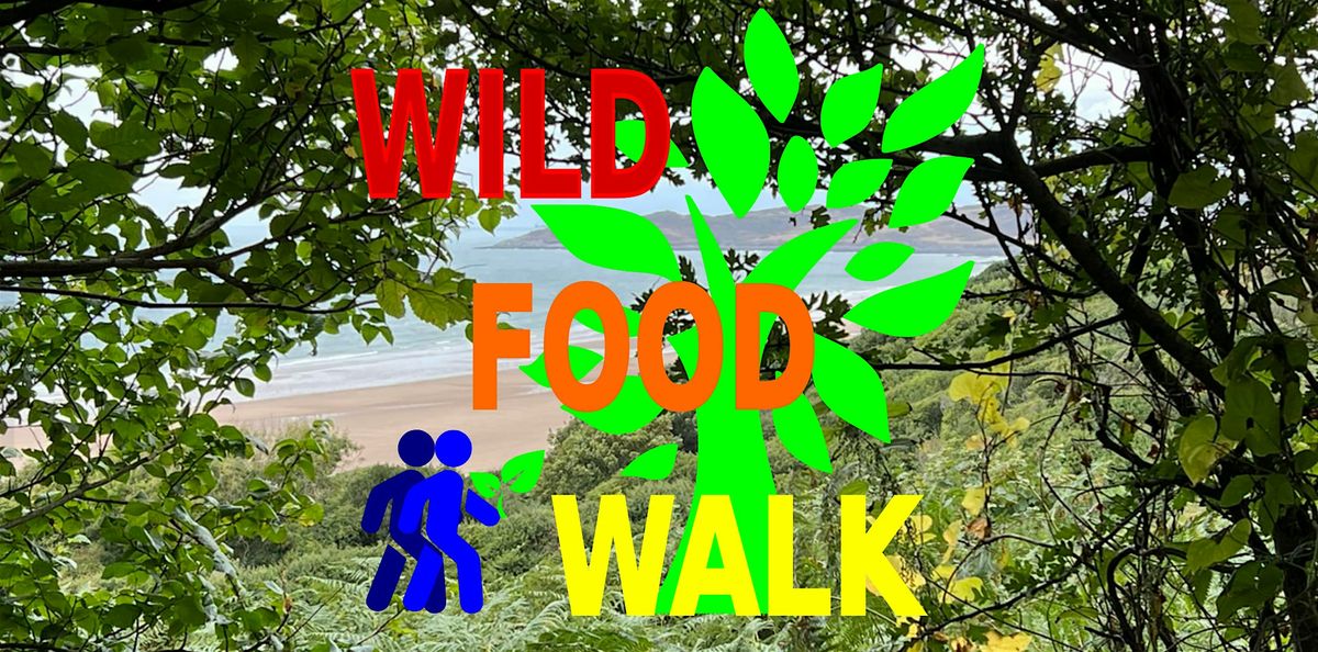 November Woolacombe (North Devon) Coastal Wild Food Foraging Walk ...