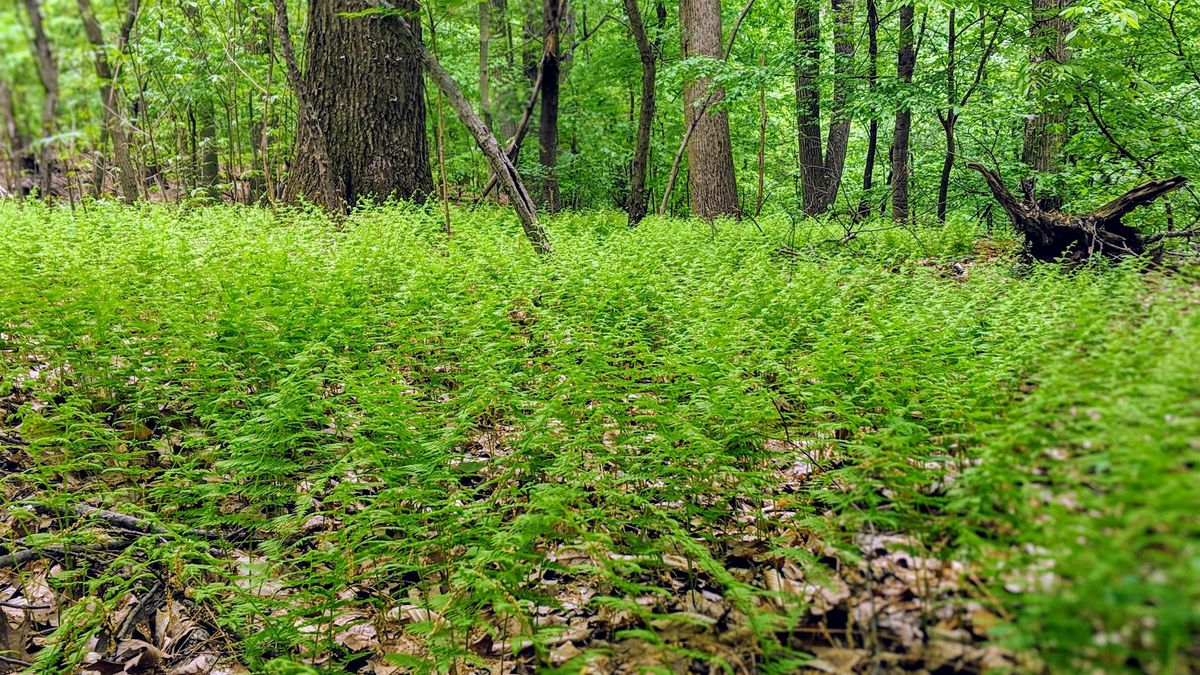 Celebration of McKaig Nature Education Center- Montgomery County, PA ...