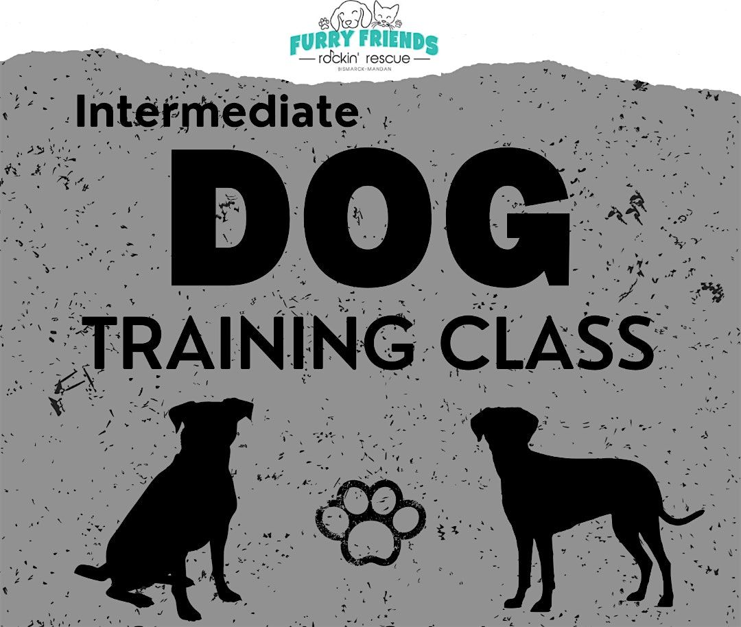 Intermediate Dog Training, 1511 Lockheed Dr Ste 5, Bismarck, 13 May 2025 | AllEvents