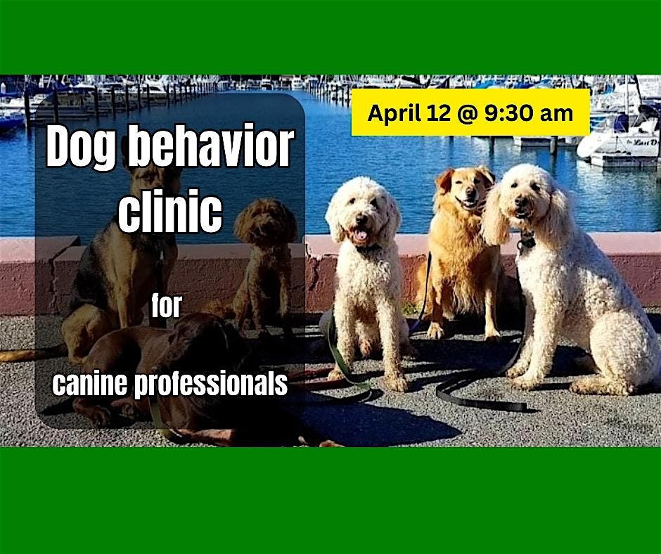 CARE First: a dog behavior clinic for canine professionals, 3129 FM168 ...
