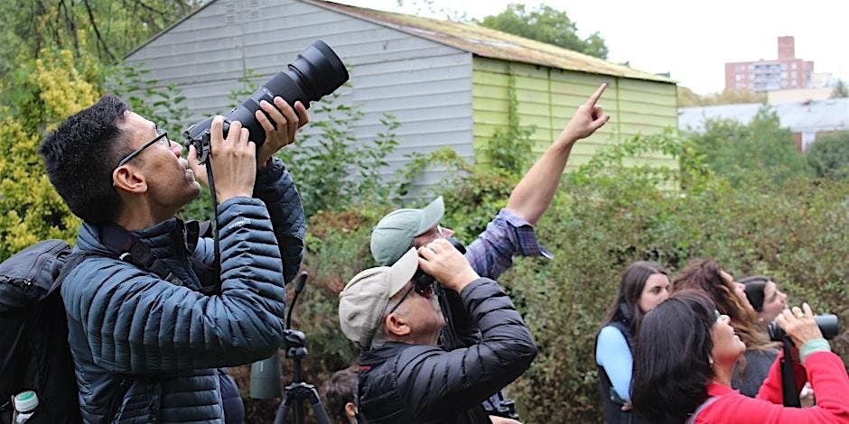Spring Bird Walks with NYC Birds Alliance, Queens Botanical Garden, New ...