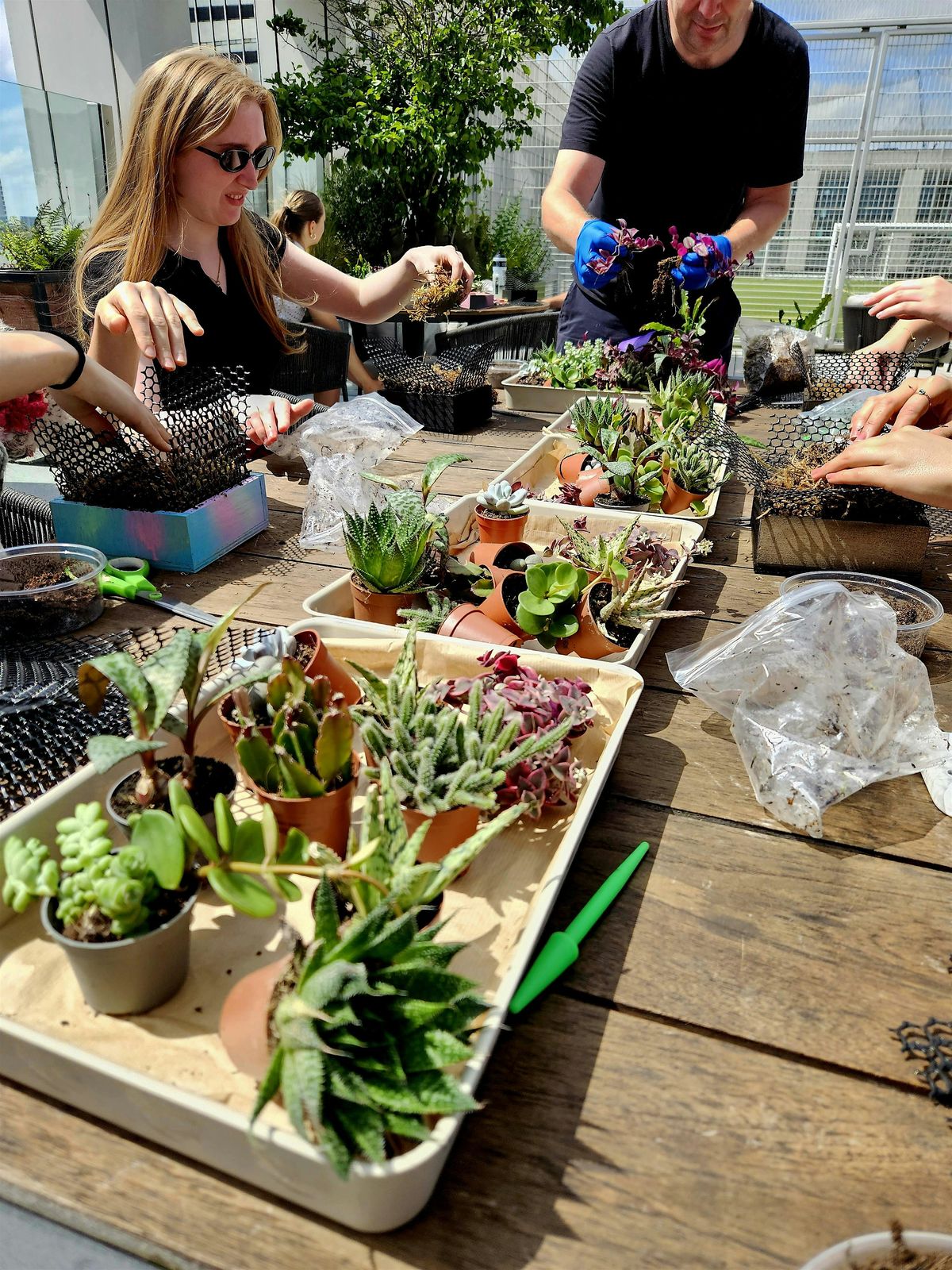 Green wall planter making with succulents. & Thali lunch., Dabba ...