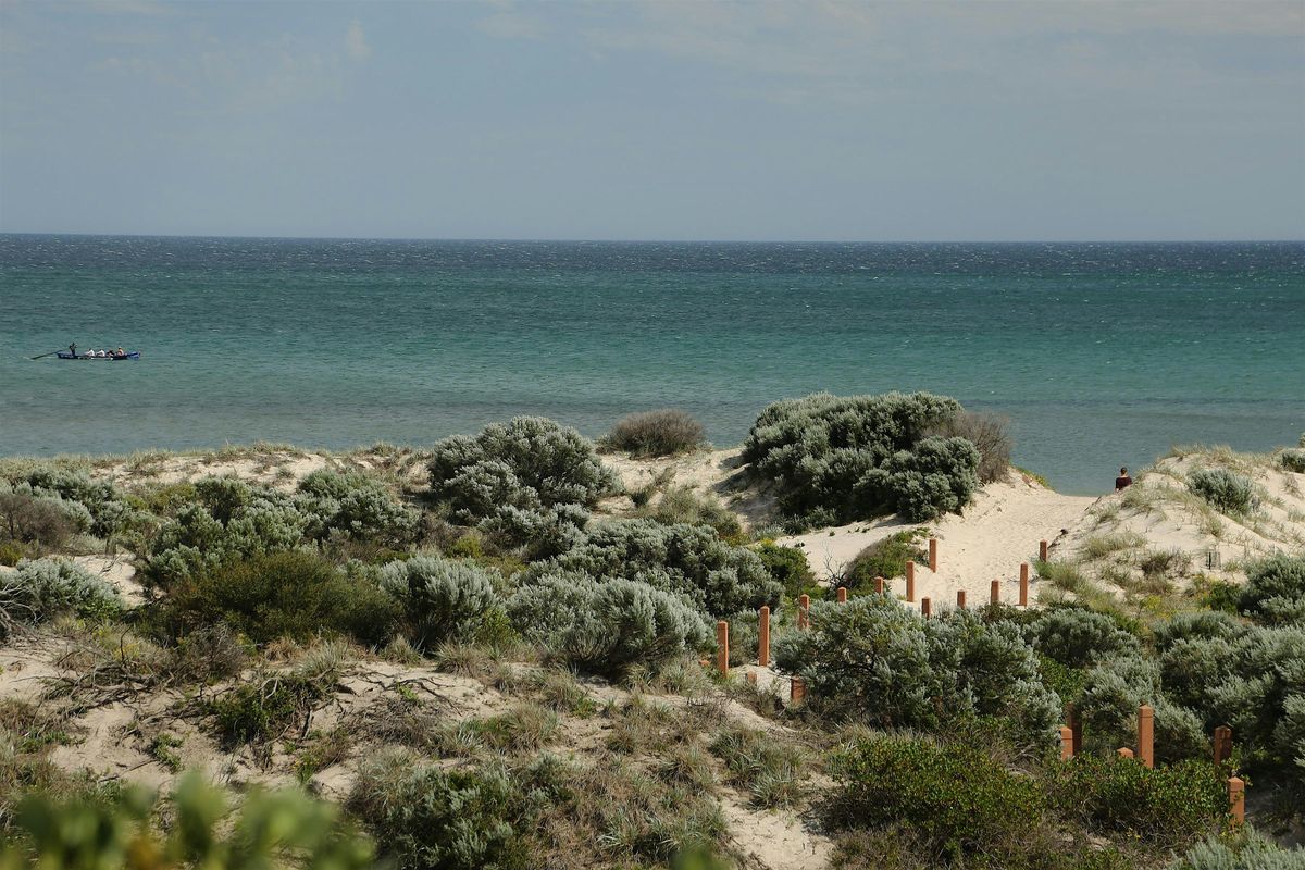 Plants of Interest and Importance in the Tennyson Dunes with Neville ...