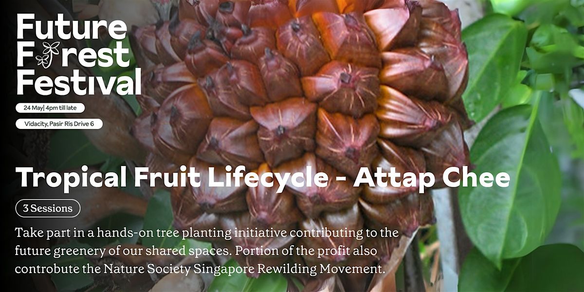 Future Forest Festival: Tropical Fruit Lifecycle - Attap Chee, Vidacity ...