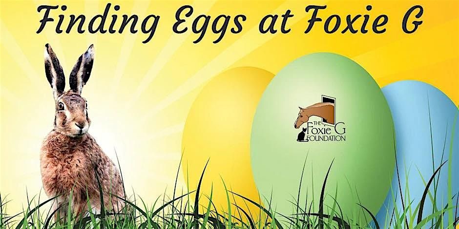 Finding Eggs at Foxie G 2025, The Foxie G Foundation, Union Bridge, 12 ...