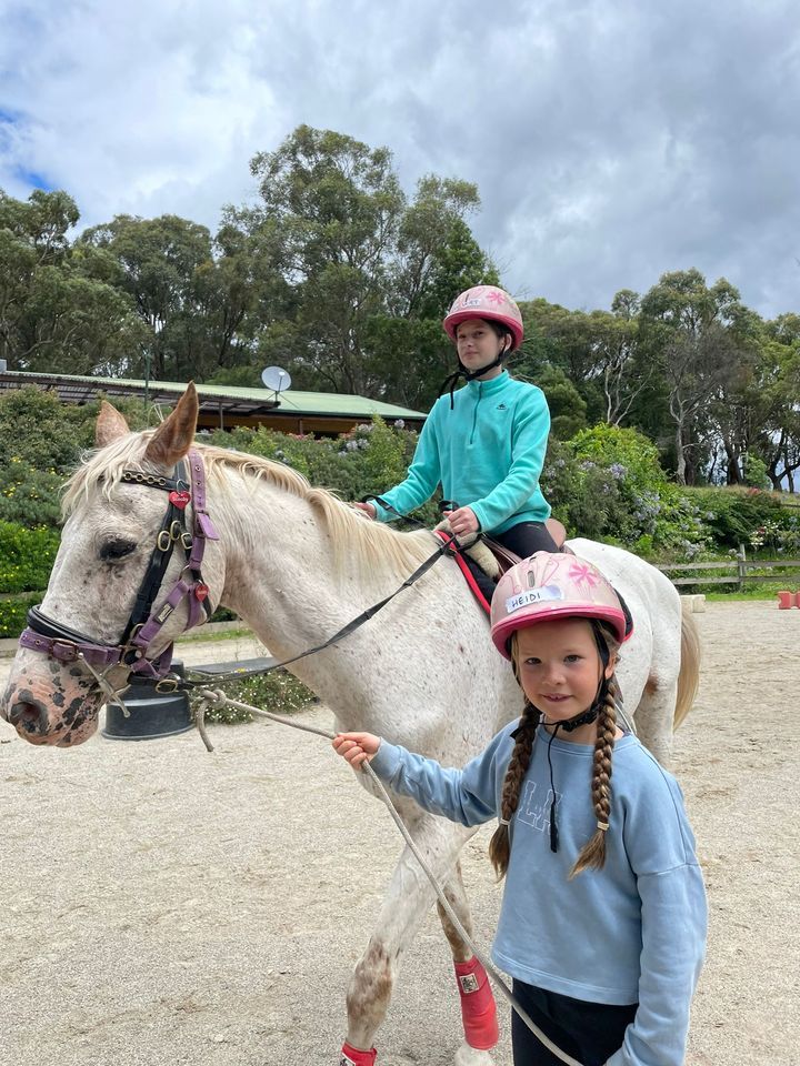 Half Day Horse Fun, 411 Tschampions Rd, Macclesfield, VIC, Australia ...