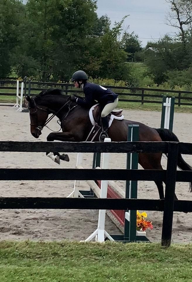 BEYOND the backstretch Benefit Horse Show, If Only Farm Equestrian Center, Freeville, 1 June ...