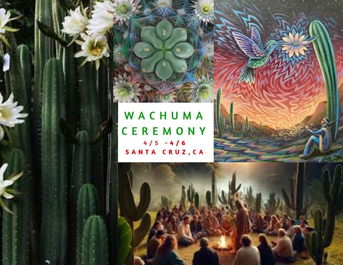San Pedro/Wachuma Ceremony, Santa Cruz Mountains, Scott’s valley, 5 ...