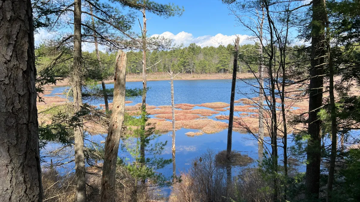 Bear Brook State Park - Hayes Field to Smith Pond with J Paul, Bear ...
