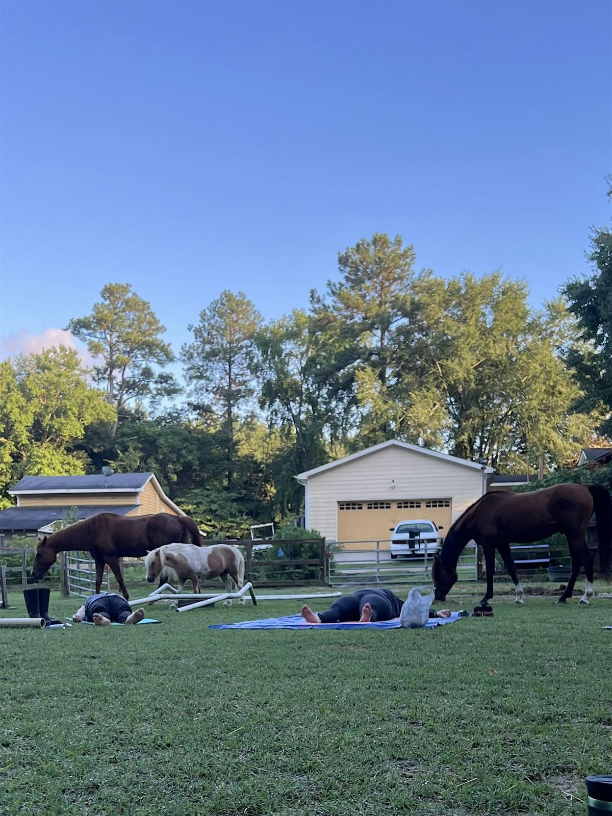 Stretching & Meditation with Horses - Mar 2025, Planet Peace Farm ...