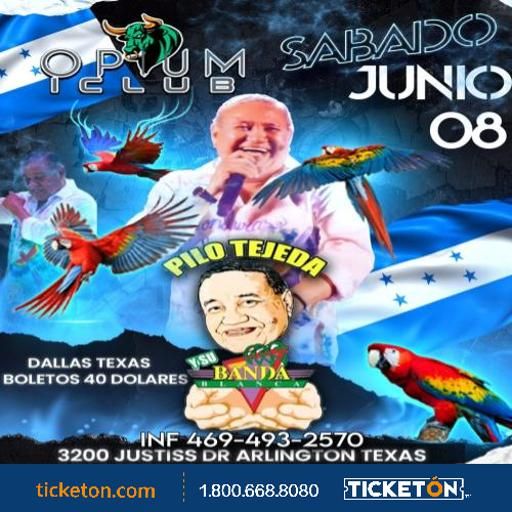 PILO TEJEDA Y SU BANDA BLANCA, Opium Discotec Arlington, 8 June 2024 ...