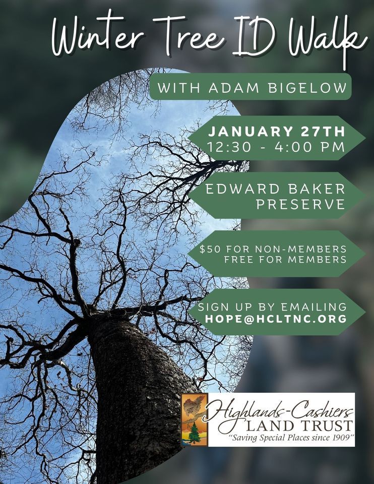 Winter Tree ID Walk with Adam Bigelow , Edward Baker Preserve, Cashiers, 27 January 2024 ...