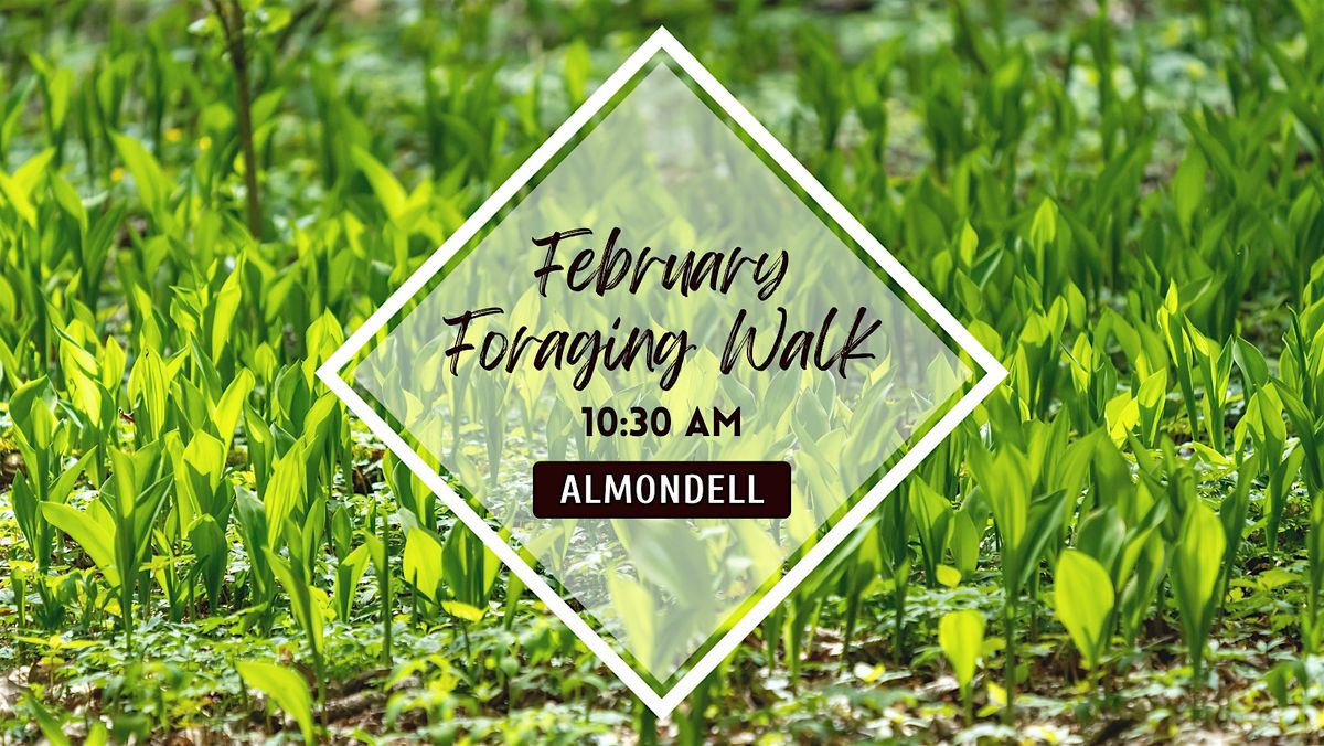 Valentines Foraging Walk, Plants and Mushrooms, Almondell & Calderwood ...