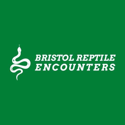 Reptile Encounters, The Cameron Centre, Bristol, April 9 2024 ...