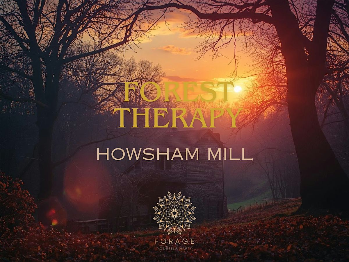 Forest Therapy at Howsham Mill — Twilight Sessions, Howsham Mill, York ...