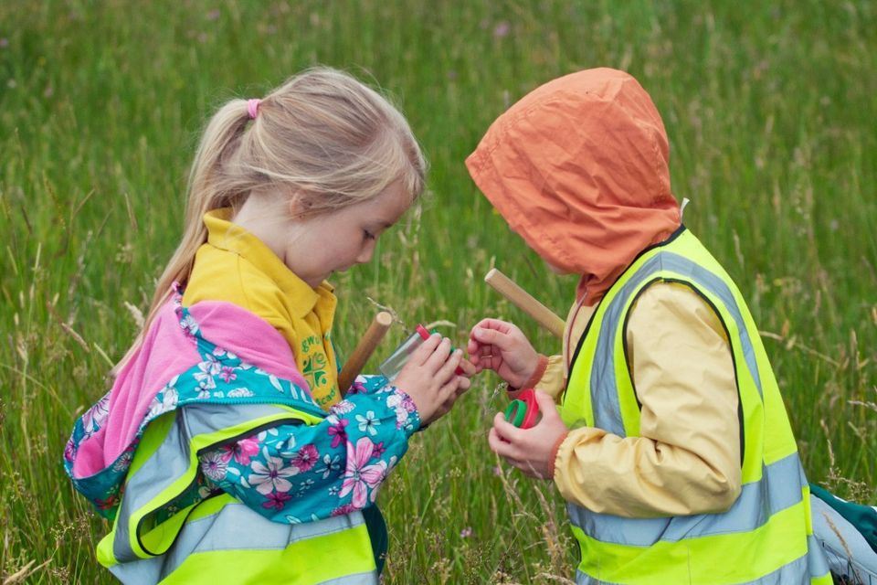 Clwb Twr - Childrens Nature Club // Clwb Natur i Blant, South Stack ...