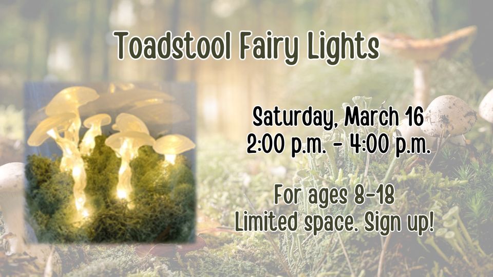 Toadstool Fairy Lights, Petit Branch Library - Onondaga County Public ...