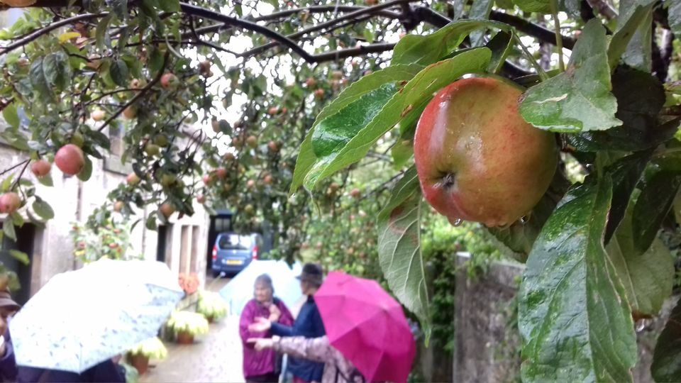 Walking group, Leith Mount Surgery, Edinburgh, 20 December 2023 ...