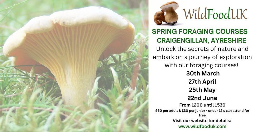 Ayrshire, Craigengillan Spring Foraging Course, Craigengillan Estate ...