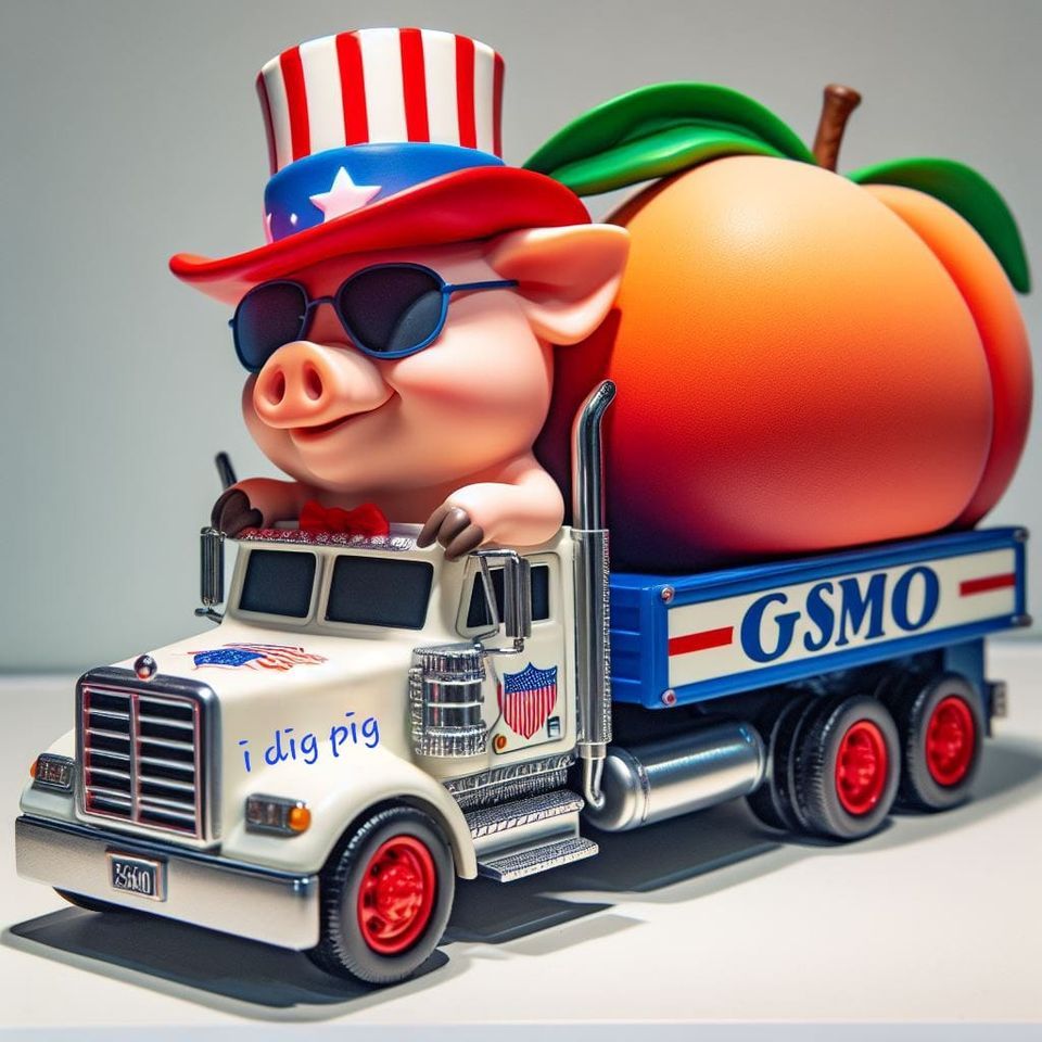 GSMO & I DIG PIG @ PEACHES, Peach's Grill, Yellow Springs, 30 March ...