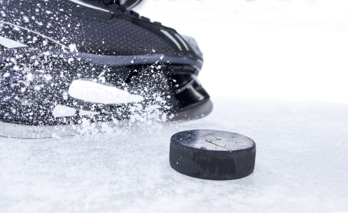 Florida Everblades at Savannah Ghost Pirates at Enmarket Arena ...