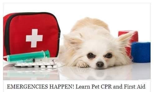 Pet CPR and 1st Aid class, The Canine Resource Center, Lake Stevens, 3 ...