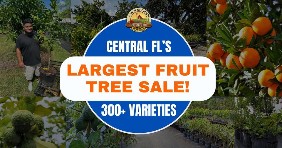 CENTRAL FLS LARGEST GRAFTED & FRUITING TREE SALE! 300+ VARIETIES, A ...