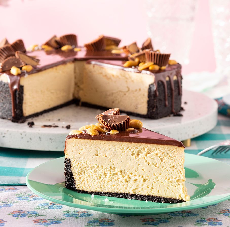 EXOTIC CHEESECAKES WORKSHOP , SF-14 Scottish Mall, Sector 48, Gurugram ...