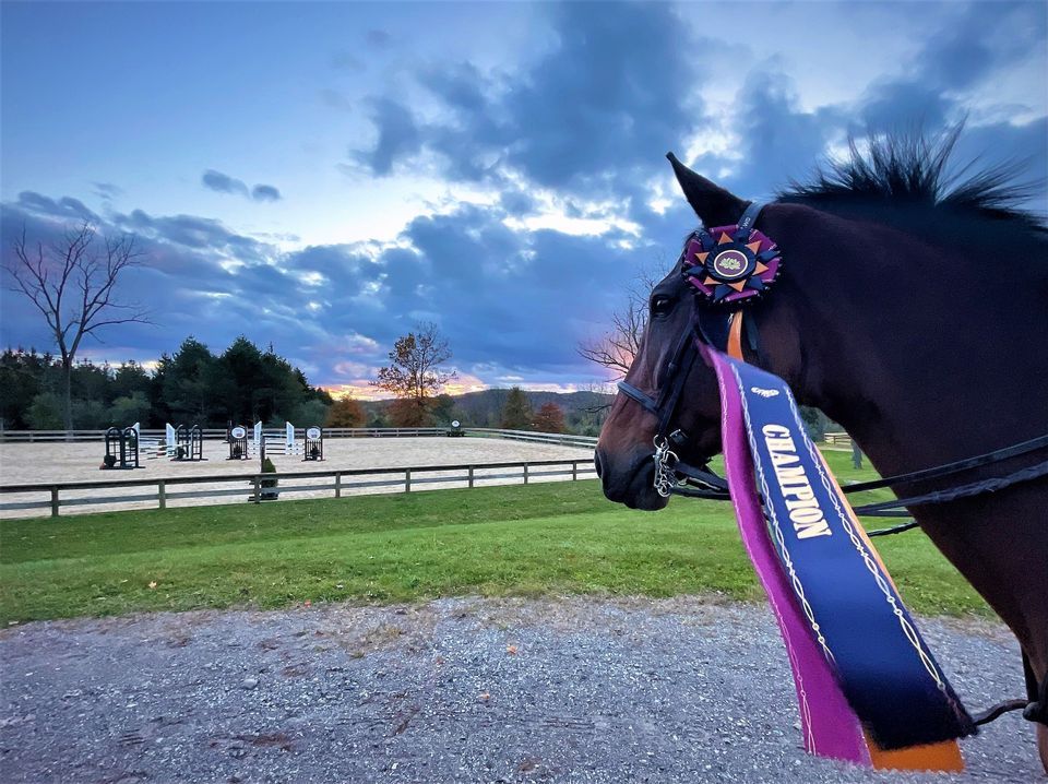 Lotus Winter Series I Horse Show, Lotus Show Stables, Long Valley ...