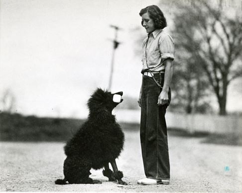 Companion Dog Training Club Obedience and Rally Trials, 3440 Torrey ...