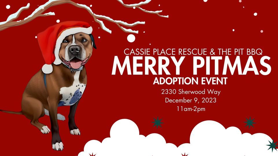 Merry Pitmas Adoption Event, The Pit BBQ San Angelo, December 9 2023 ...