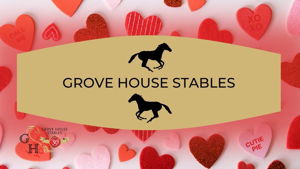 Tuesday Pony Care Master Riding Academy Session, Grove House Stables ...