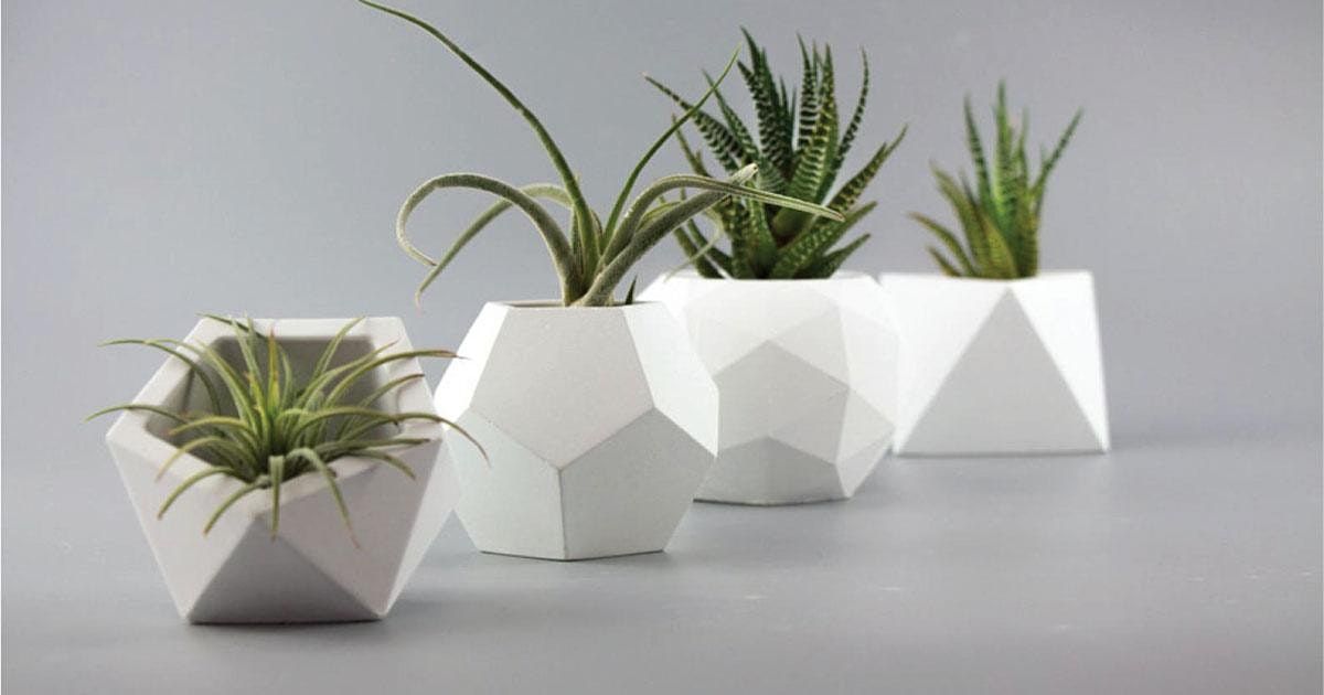 Design a Decorative Plant Pot [PIXEL Labs@NLB] | MakeIT, August 15 2020 ...