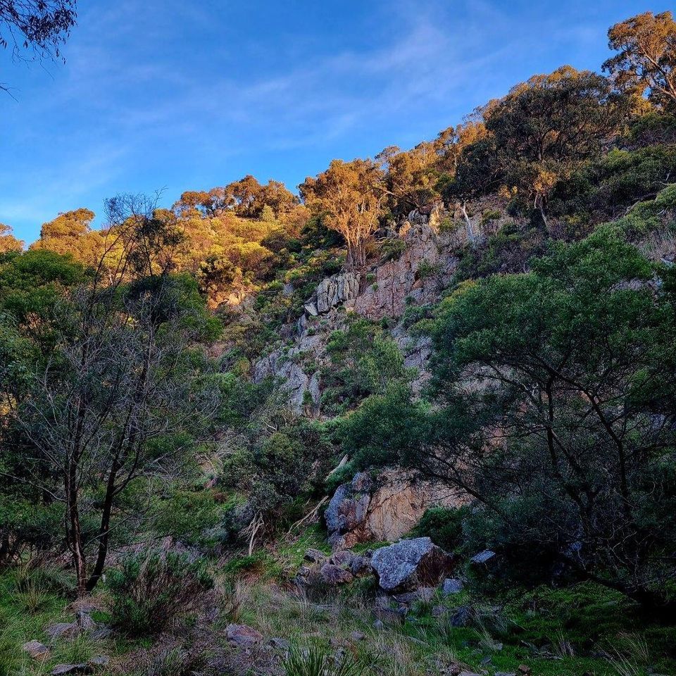 **FREE Hike** Steiglitz River Circuit, Stieglitz, Meredith, 24 March ...