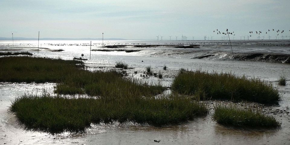 WATERLANDS: CREATIVE WRITING WORKSHOP, 19 Mann Island,Liverpool,L3 1BP ...