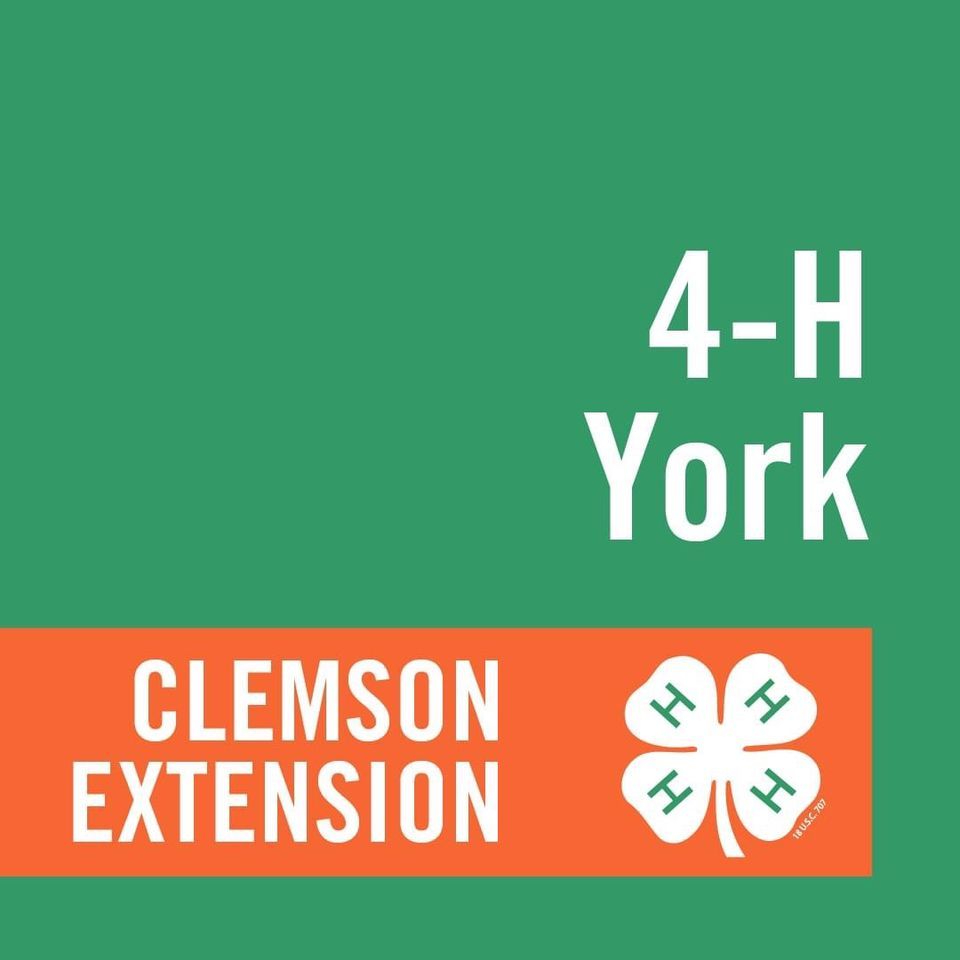 SC 4H State Show, T Ed Garrison Livestock Arena, Pendleton, 11 June to ...