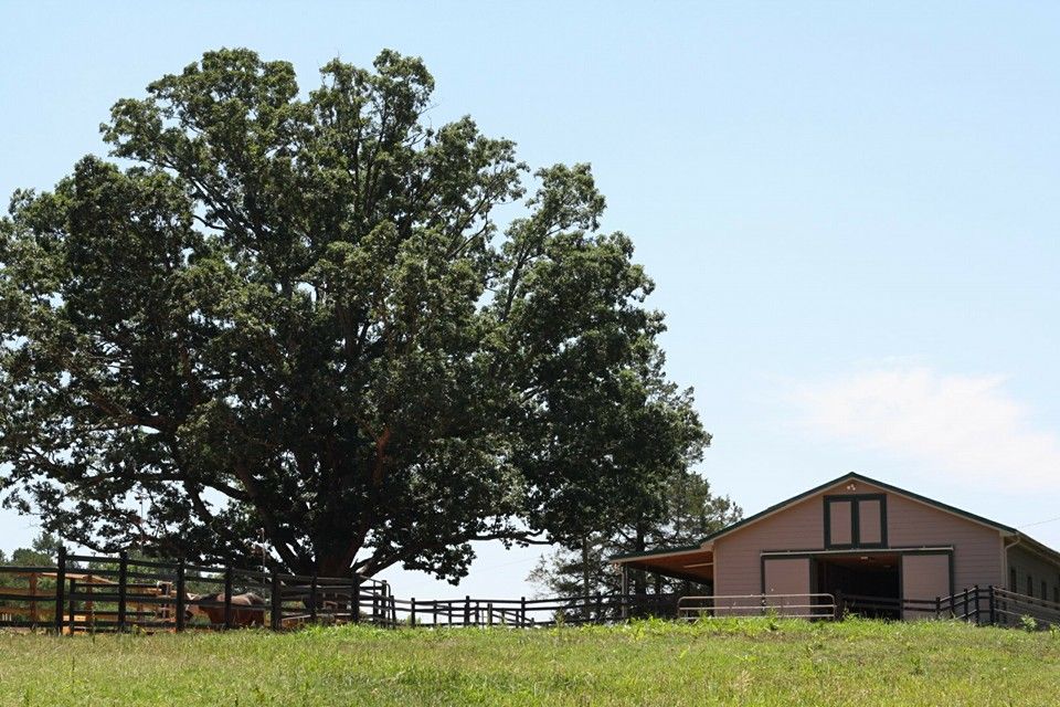 Christmas horse show at Big Oak Stables., Big Oak Stables, Indian Trail ...
