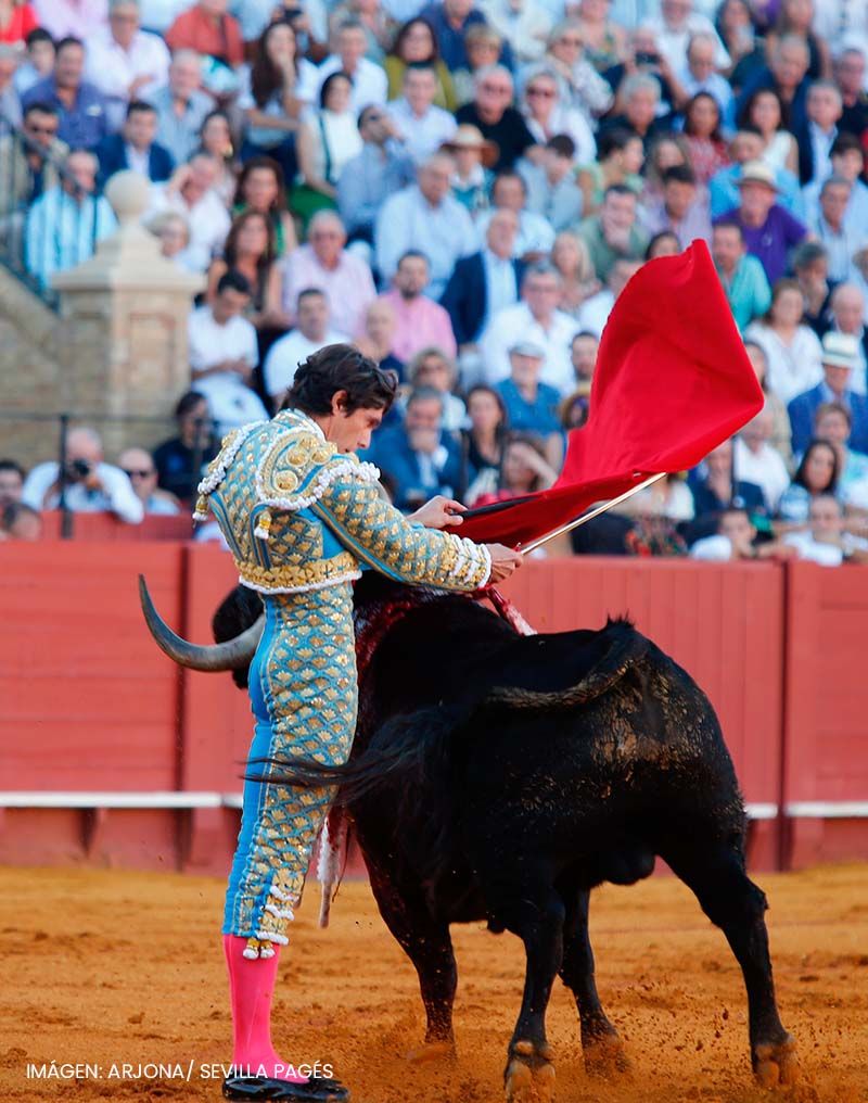 Bullfighting Madrid 2026 - Miguel Ángel Perera, Daniel Luque & Tomás ...