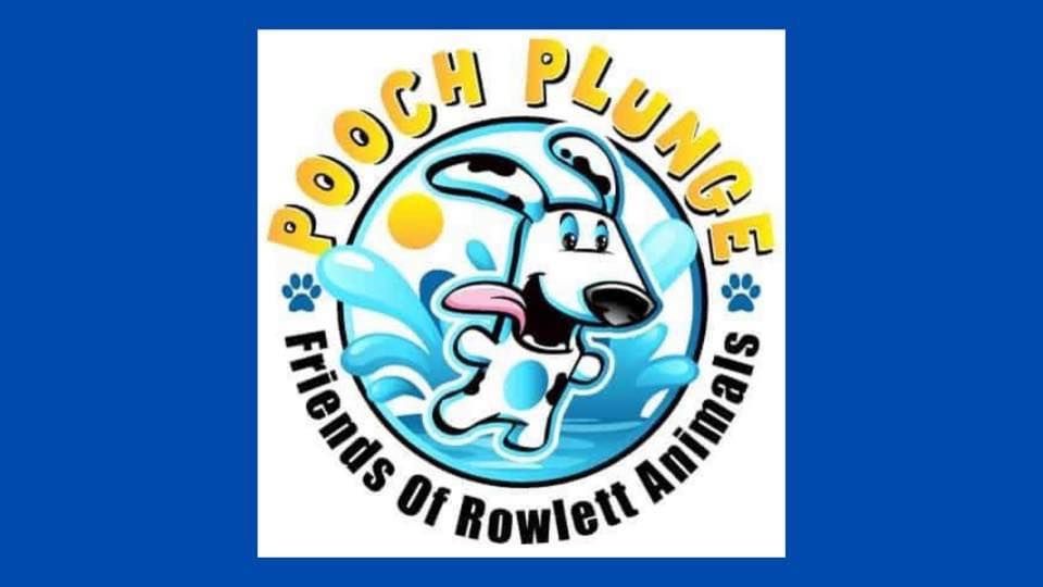Pooch Plunge 2023, Wet Zone Waterpark, Rowlett, August 6 2023 ...