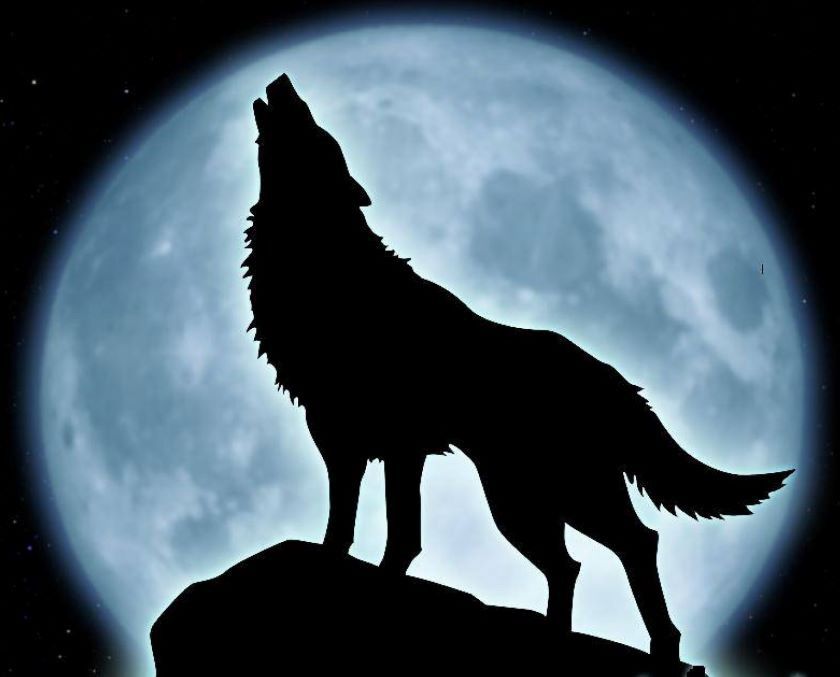 Wolf Moon Yoga, The Twisted Warrior, Fond Du Lac, January 25 2024 ...