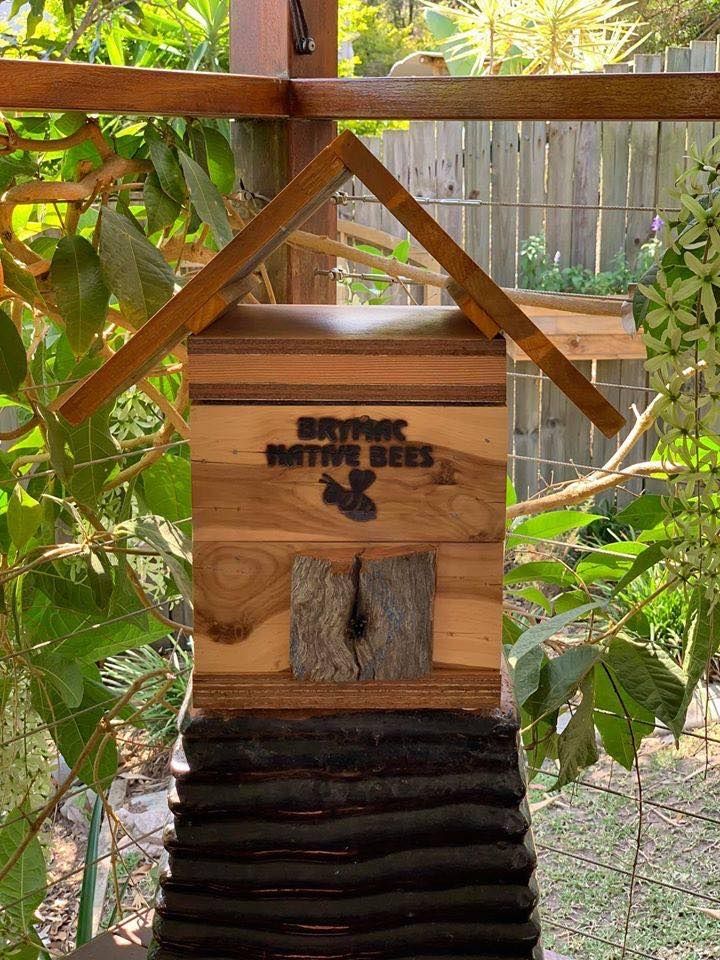 Stingless Native Bee Workshop - First event for 2024!!, 21B Plantation ...