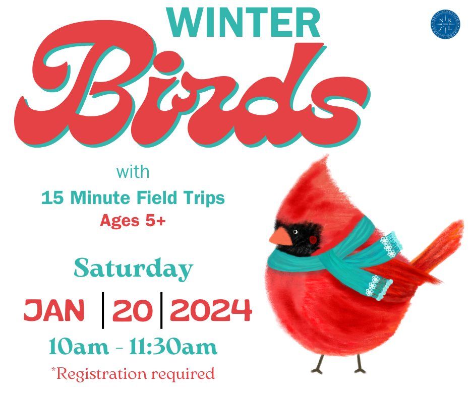 Winter Birds with 15 Minute Field Trips, 100 Boone St North Kingstown ...